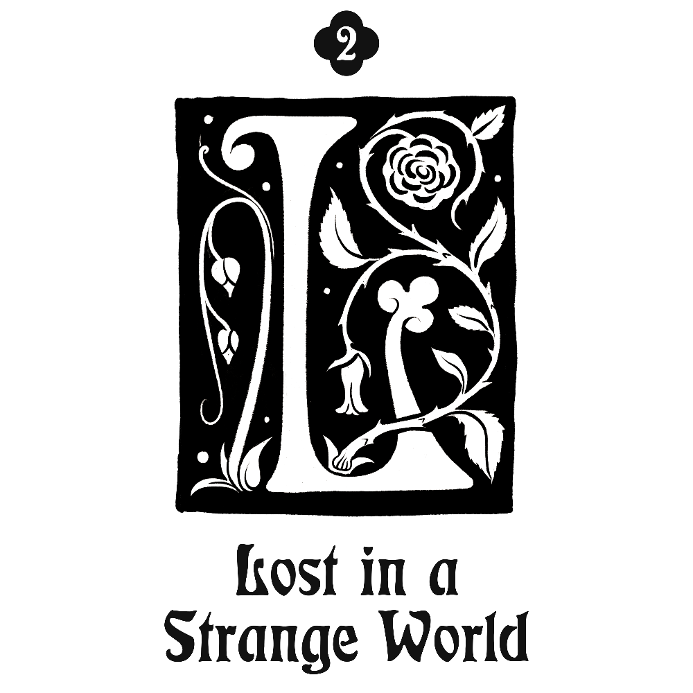 The Symbolism of Snow White – The Symbolic World Store